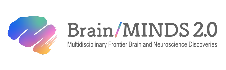 Amygdalo-cortical dialogue underlies memory enhancement by emotional ...
