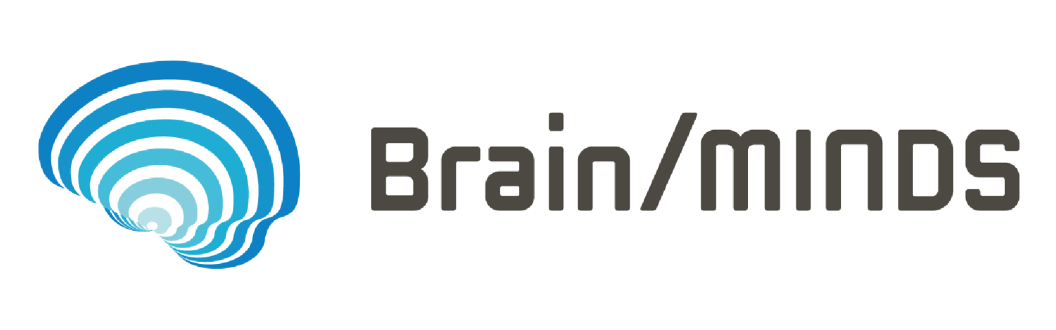 タウオパチーにおけるグリア－末梢免疫連関および脳プロテオスタシス変容の理解と制御 – Brain/MINDS 2.0